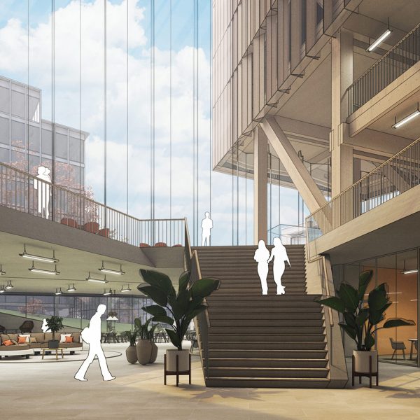 SketchUp Pro 2025 Single User Subscription - Amido